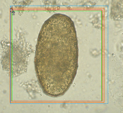 ParasiteID | Home
